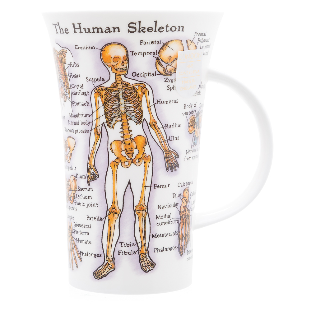 Dunoon - Glencoe Human Body Mug | Peter's of Kensington