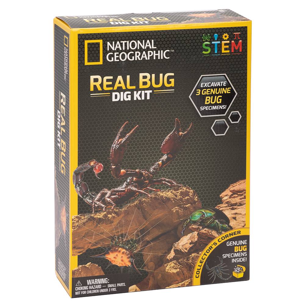 National Geographic - Real Bug Dig Kit | Peter's of Kensington