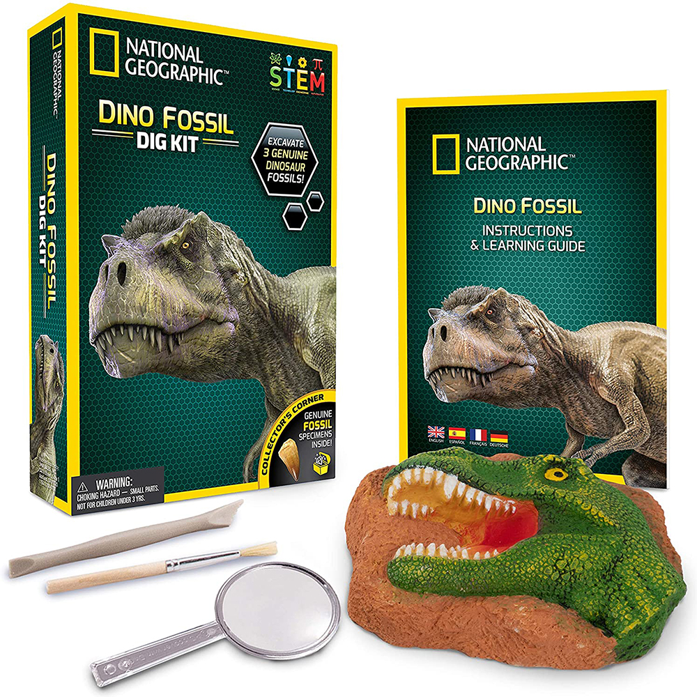 National Geographic - Dino Fossil Dig Kit | Peter's of Kensington