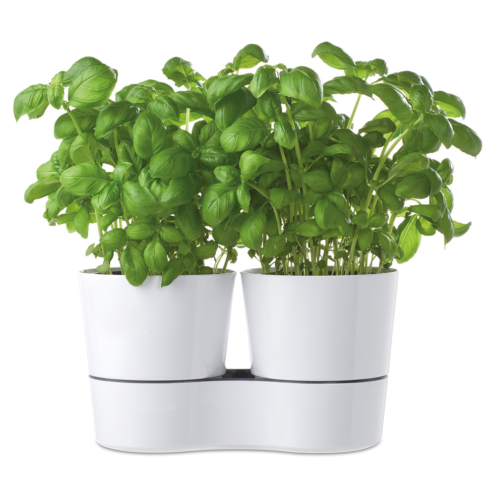 Mepal - Hydro Twin Herb Pots 14cm | Peter's of Kensington