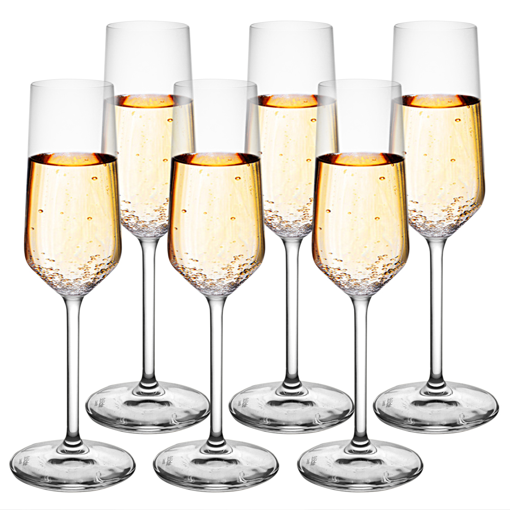 Stolzle - Revolution Champagne Flute Set 6pce | Peter's of Kensington