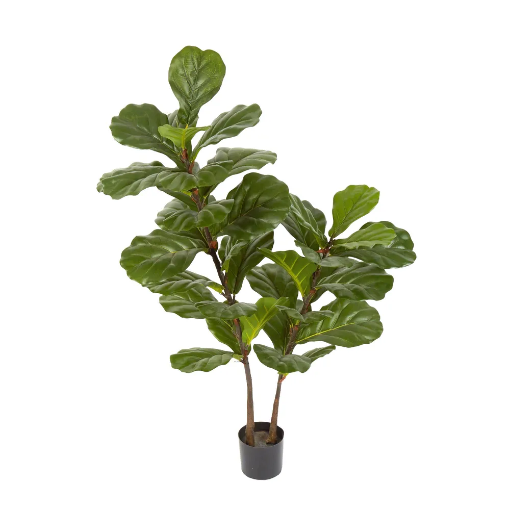 Florabelle - Fiddle Leaf Tree 1.13m | Peter's of Kensington