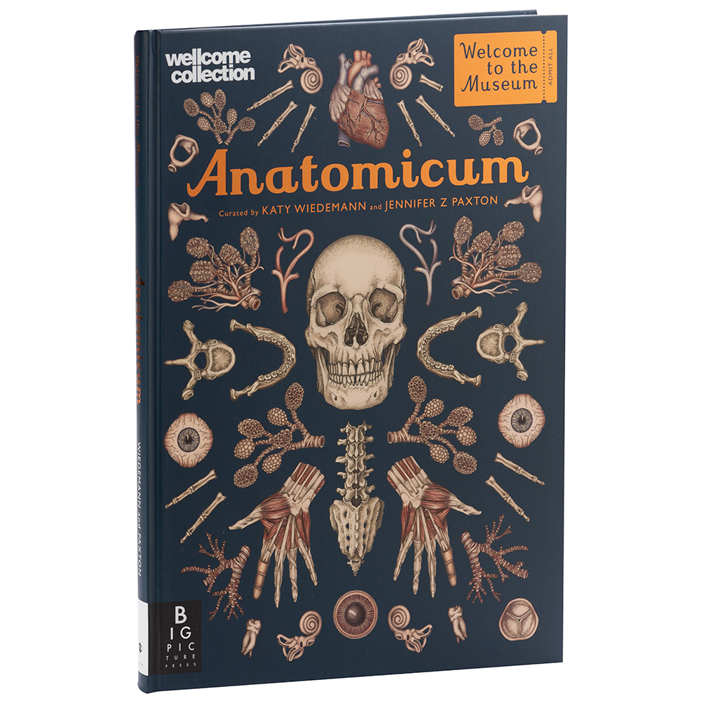 Kids Book - Anatomicum | Peter's of Kensington