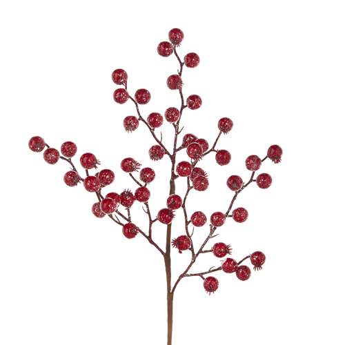 Raz - Iced Berry Pick | Peter's of Kensington