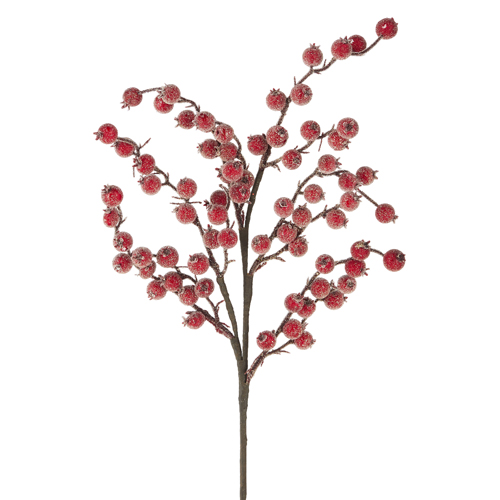 Raz - Iced Berry Spray | Peter's of Kensington