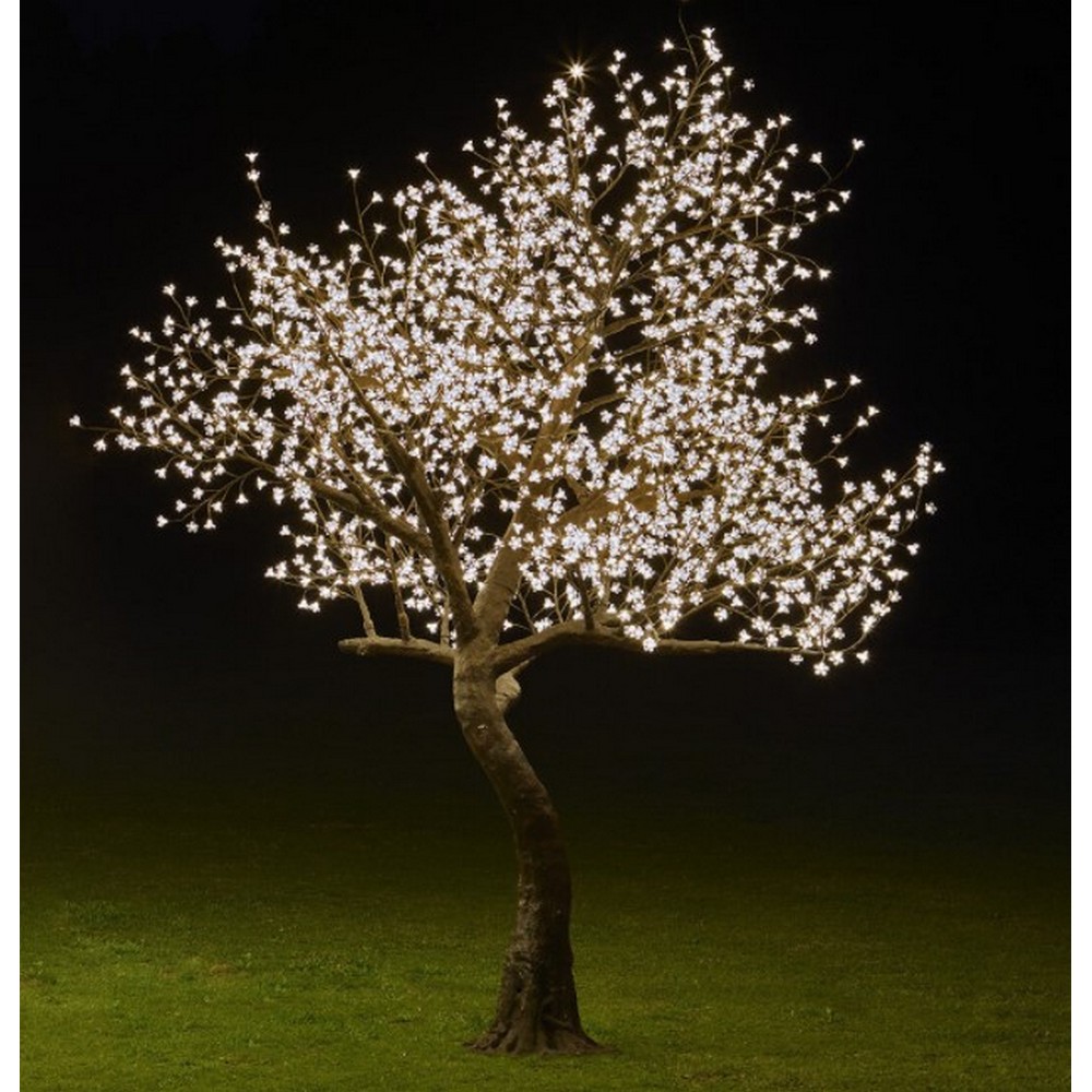 Luxe By Peter's - Apple Tree Led 120cm | Peter's of Kensington