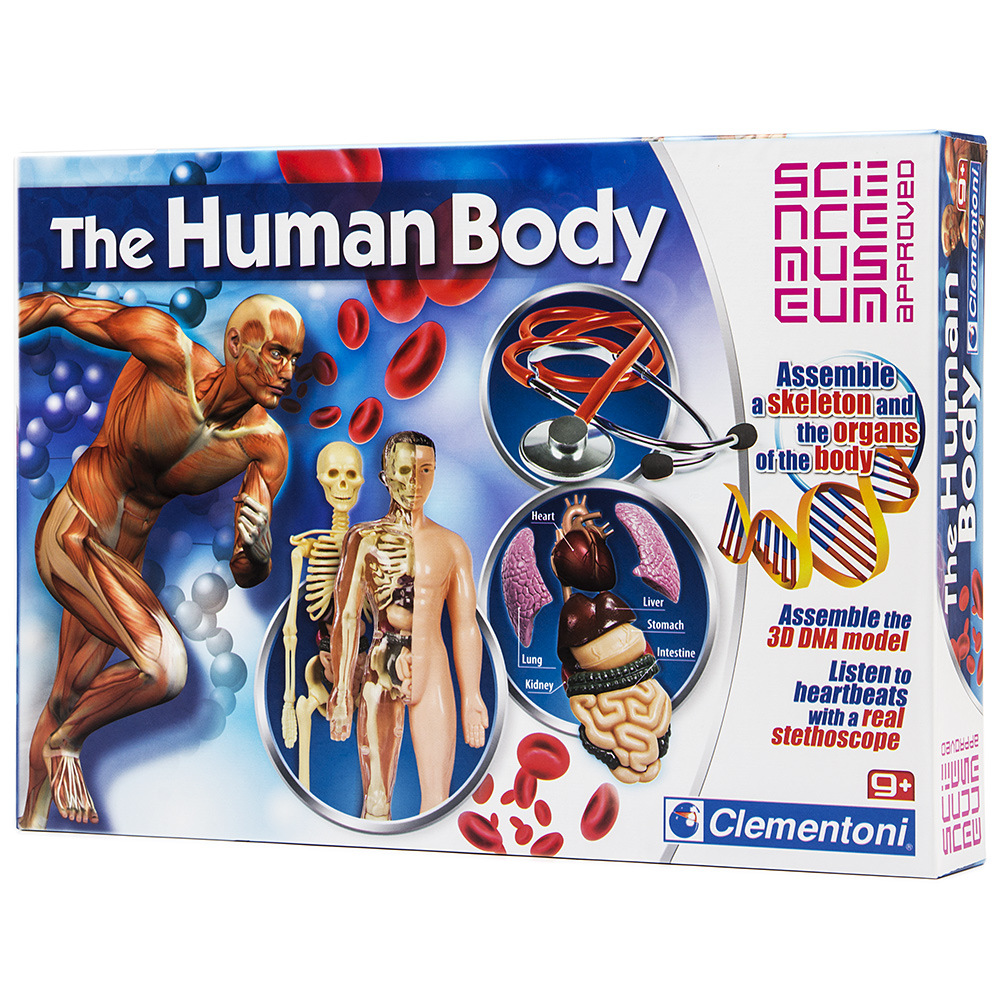 Clementoni - The Human Body Kit | Peter's of Kensington