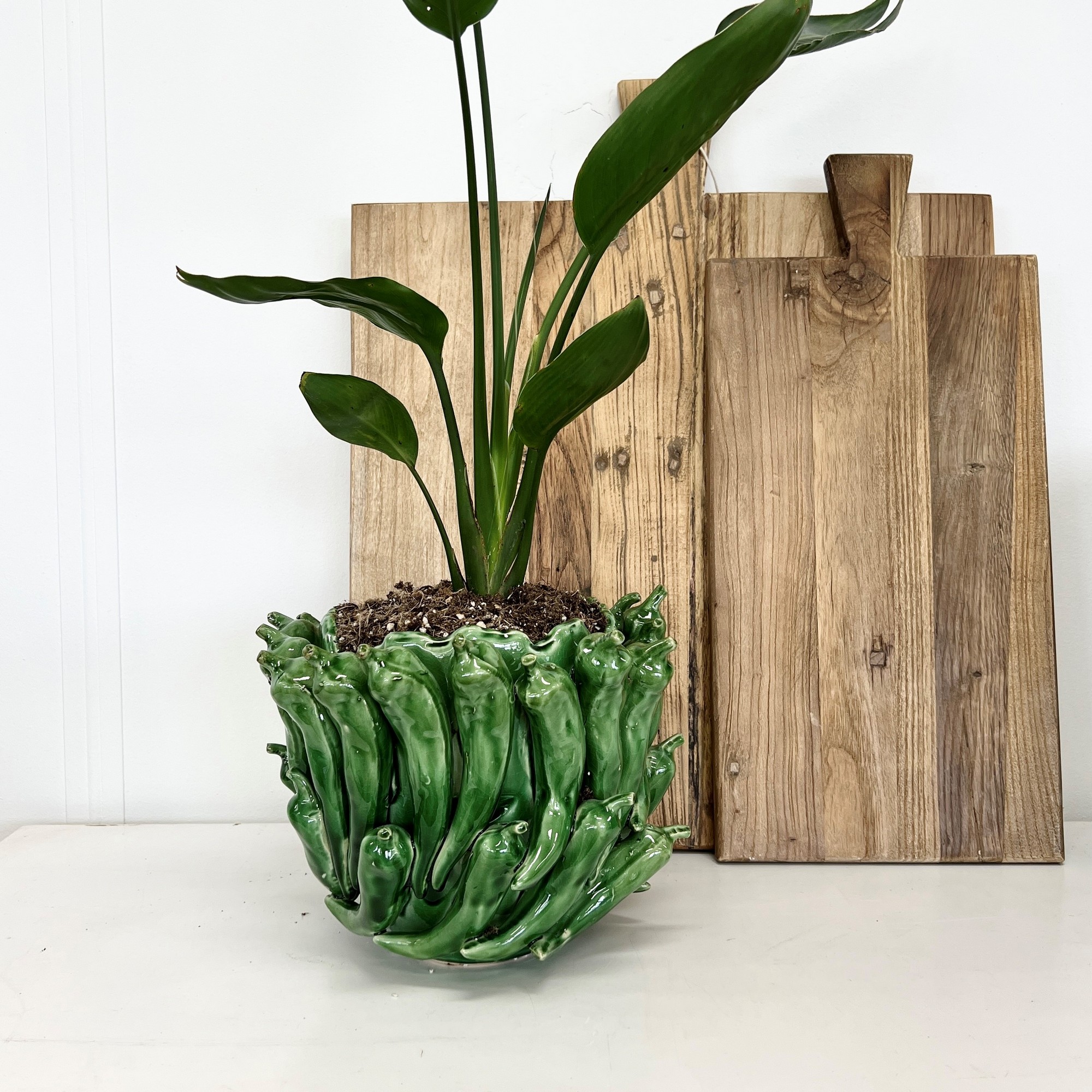Mode - Chilli Vase Green 25x21cm | Peter's of Kensington