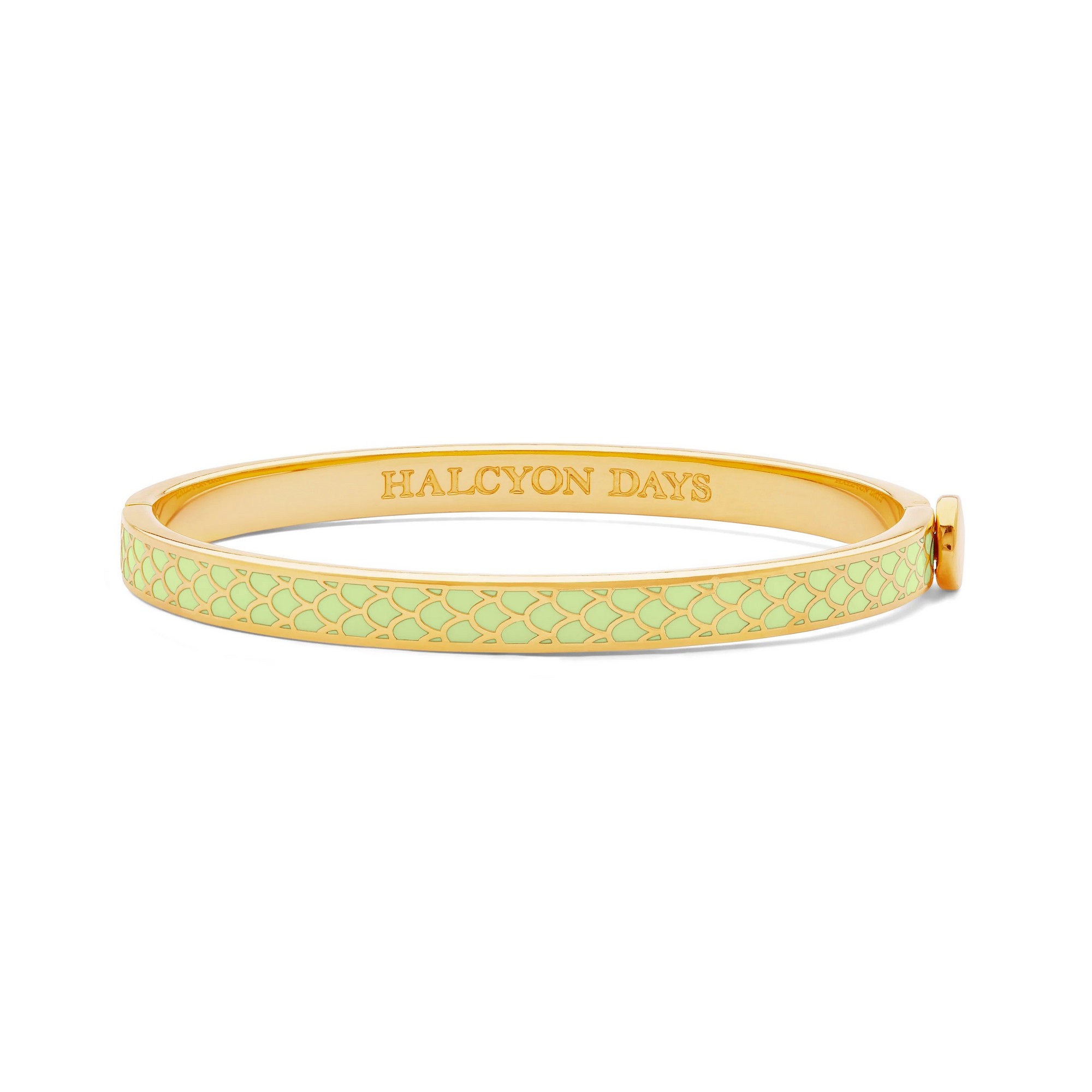 Halcyon Days - Skinny 6mm Salamander Hinged Bangle w/18k Gold Plate ...