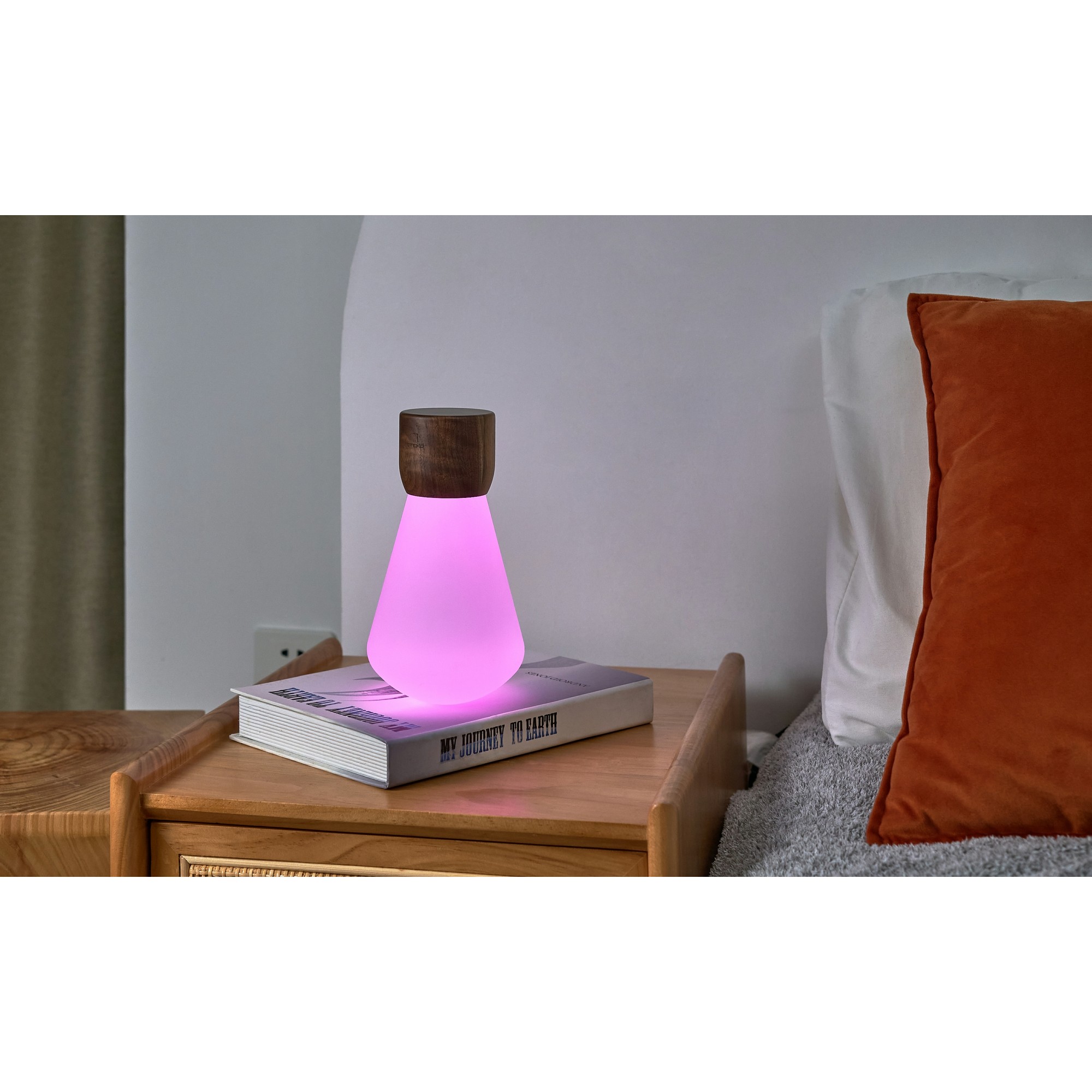 Gingko - Pentagon Desk Bulb Natural Walnut Wood Large | Peter's of ...