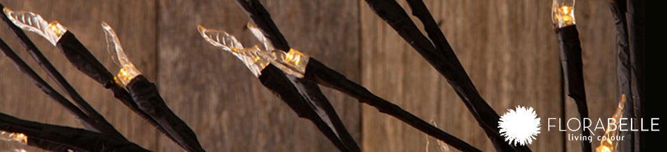 Florabelle | Peter's of Kensington