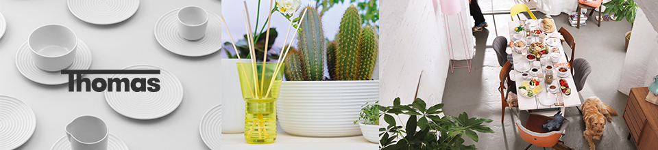 Thomas | Peter's of Kensington